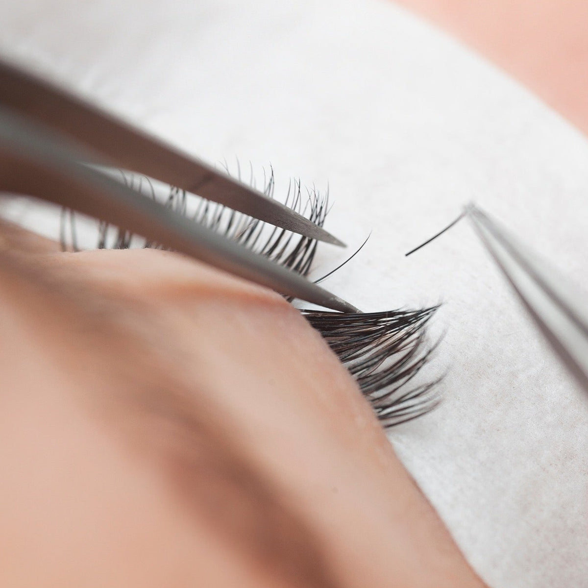 Beginners Classic Training Course | CROWNETICS